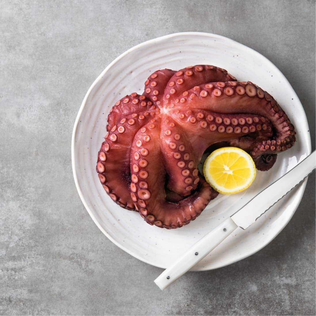 Octopus - Brasmar